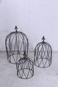 Round Top Topiary – Brevard Home and Garden